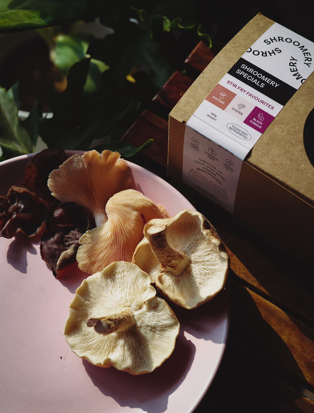 Mushroom Medley | Shroomery